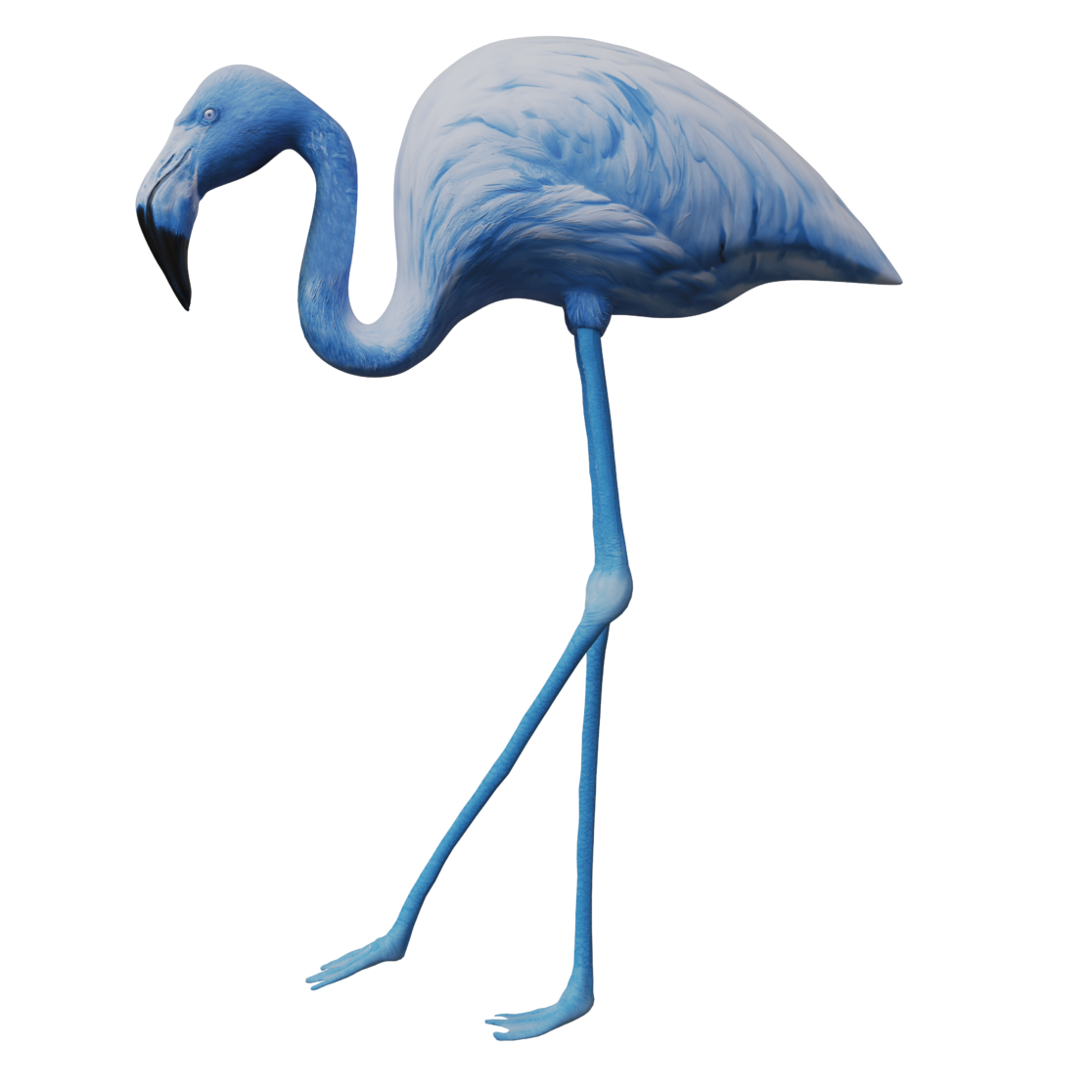 Blue Flamingos – Art of Simon Radcliffe